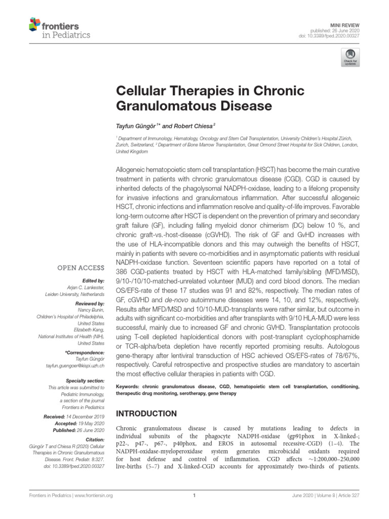 Histologia Terapias EGC | PDF | Hematopoietic Stem Cell Transplantation | Medical Specialties