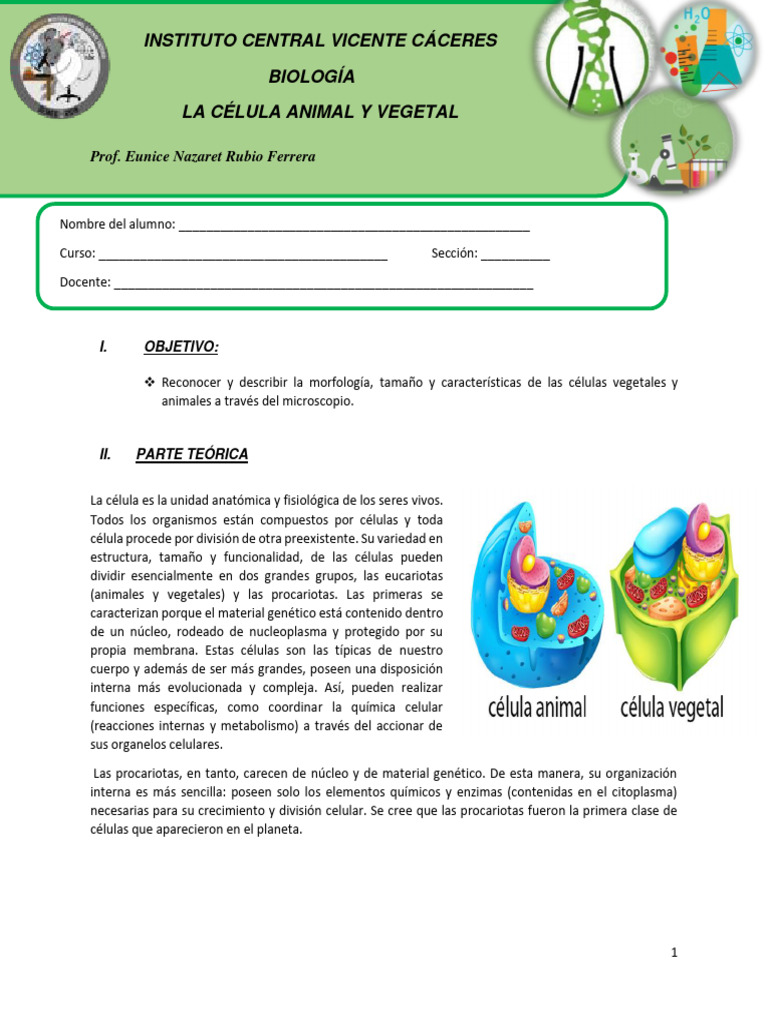 Guía de Biología, II Parcial, I Semestre | PDF | Biología Celular) | Organismos