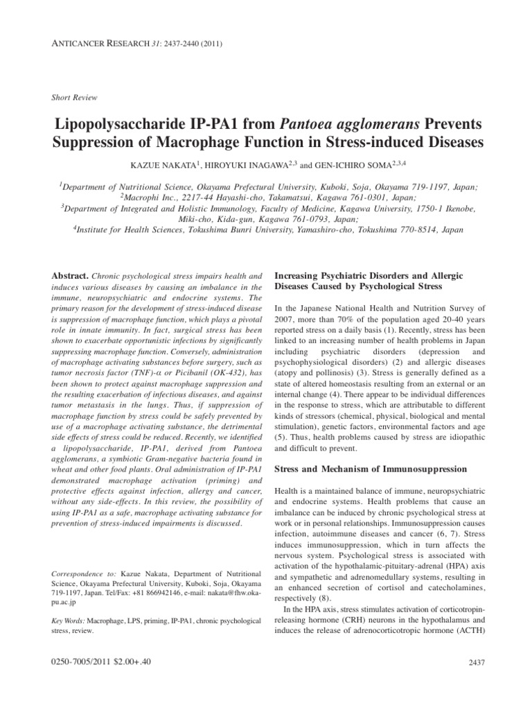 IPPA1 Microwave #Shirito | PDF | Macrophage | Stress (Biology)