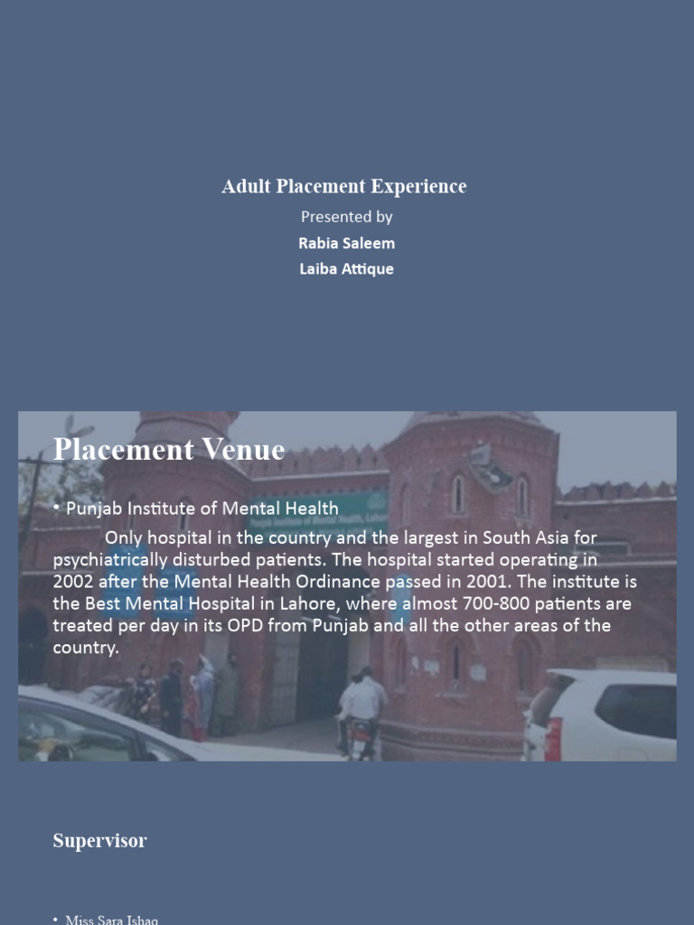 Adult Placement Experience | PDF