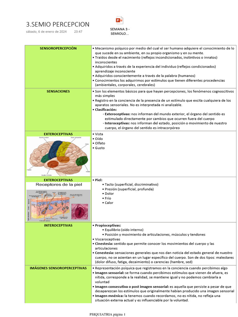3.semio Percepcion | PDF | Alucinación | Percepción
