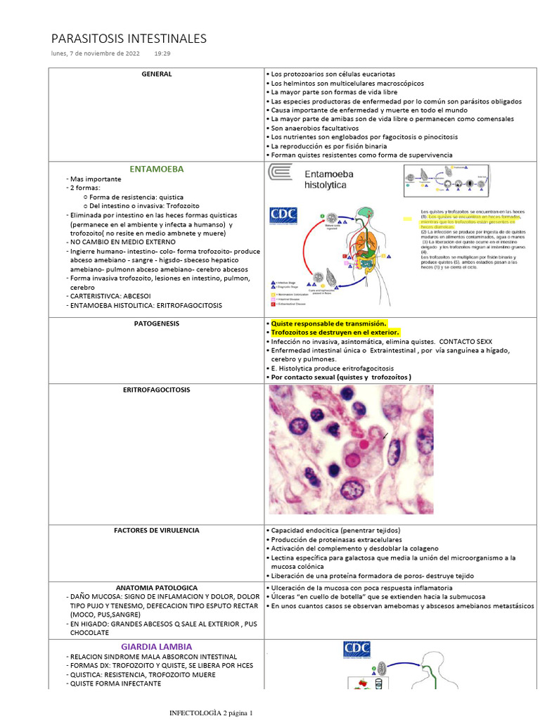Parasitosis Intestinales | PDF | Biología | Especialidades Medicas