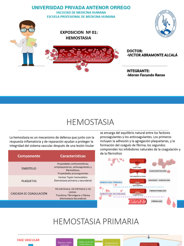 Hemostasia - Moran Facundo Renso | PDF | Salud y bienestar