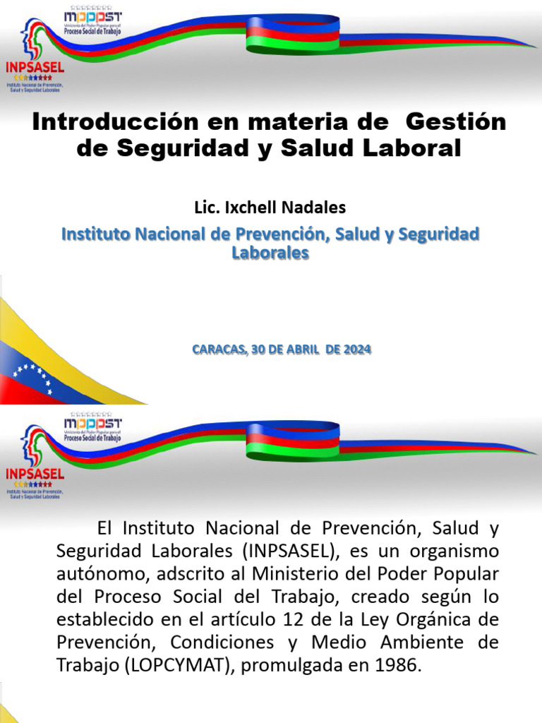 Ponencia INPSASEL para IVSS | PDF | Seguridad y salud ocupacional | Valores