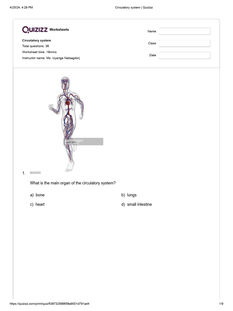 Circulatory System Worksheet & Quiz | PDF | Artery | Blood Vessel
