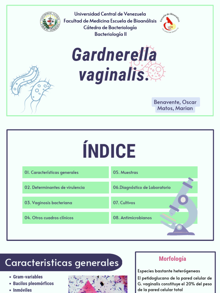 Gardnerella Vaginalis. Grupo 5 DEFINITIVAS | PDF | Las bacterias | Vagina