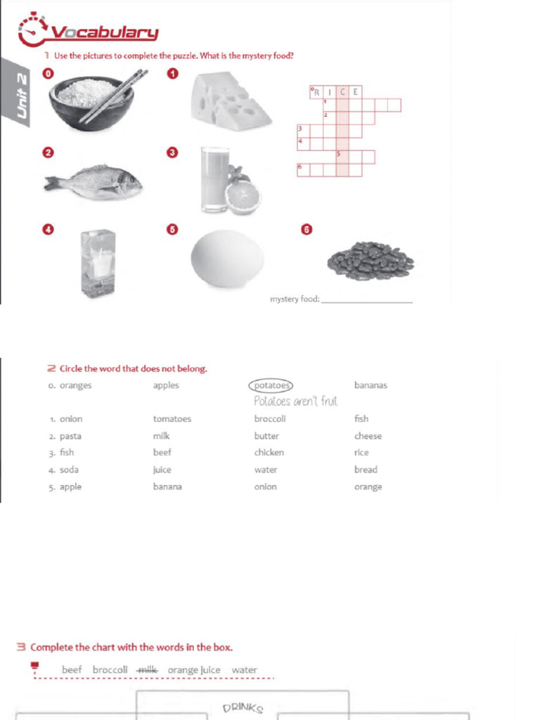 Ficha de Practica 2do | PDF