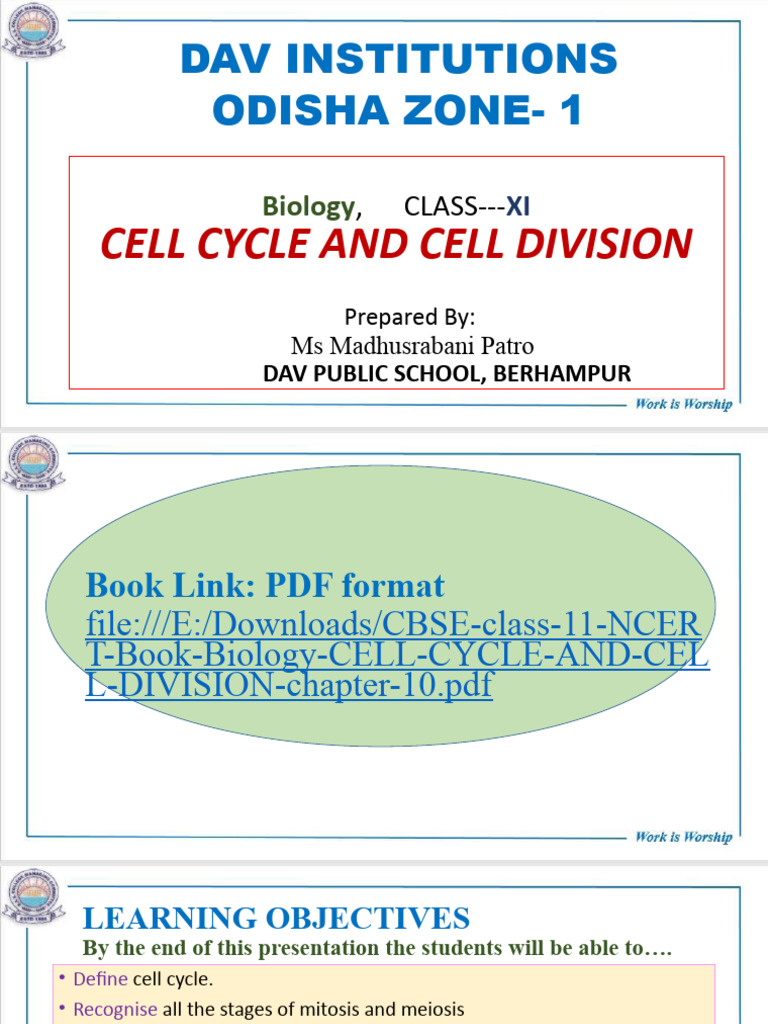 Cell Cycle _ Cell Division | PDF | Meiosis | Mitosis
