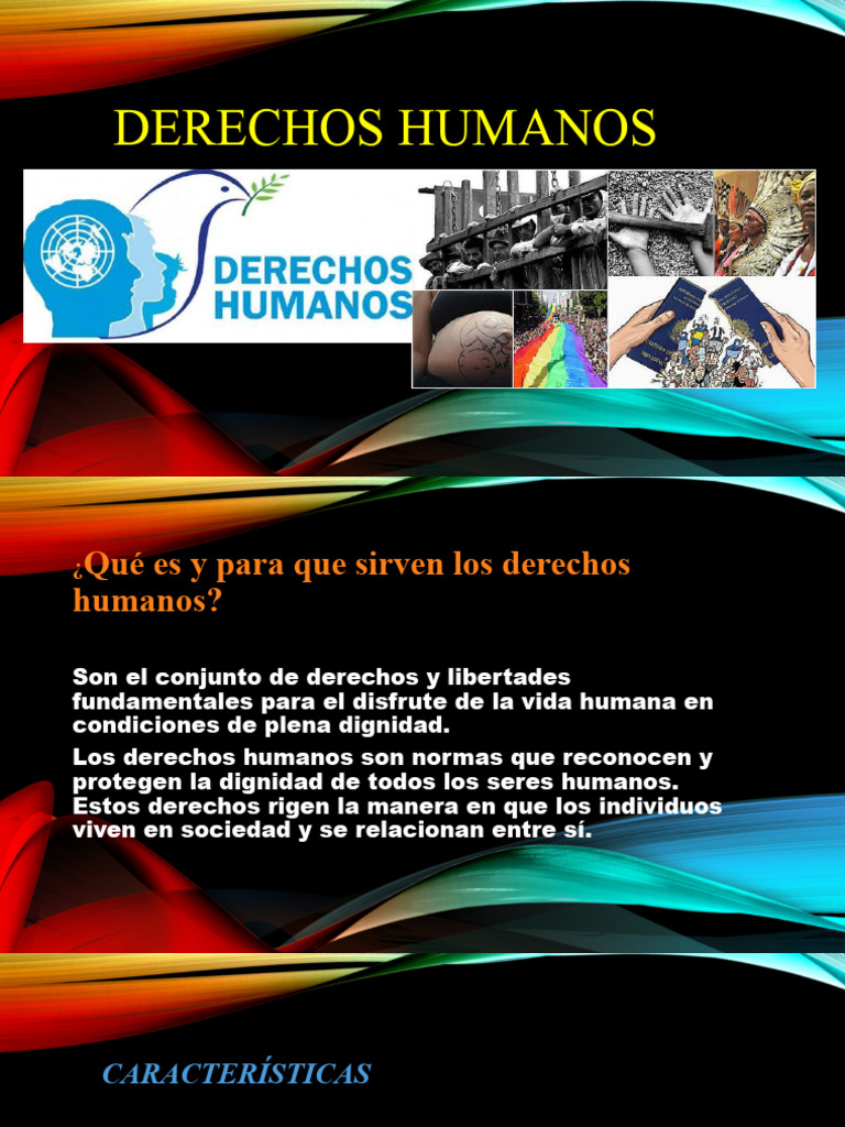 Derechos Humanos: Definición y Tipos | PDF