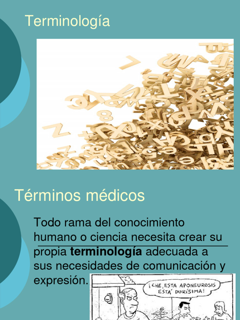 Terminologia 2020 | PDF | Abdomen | Sistema digestivo