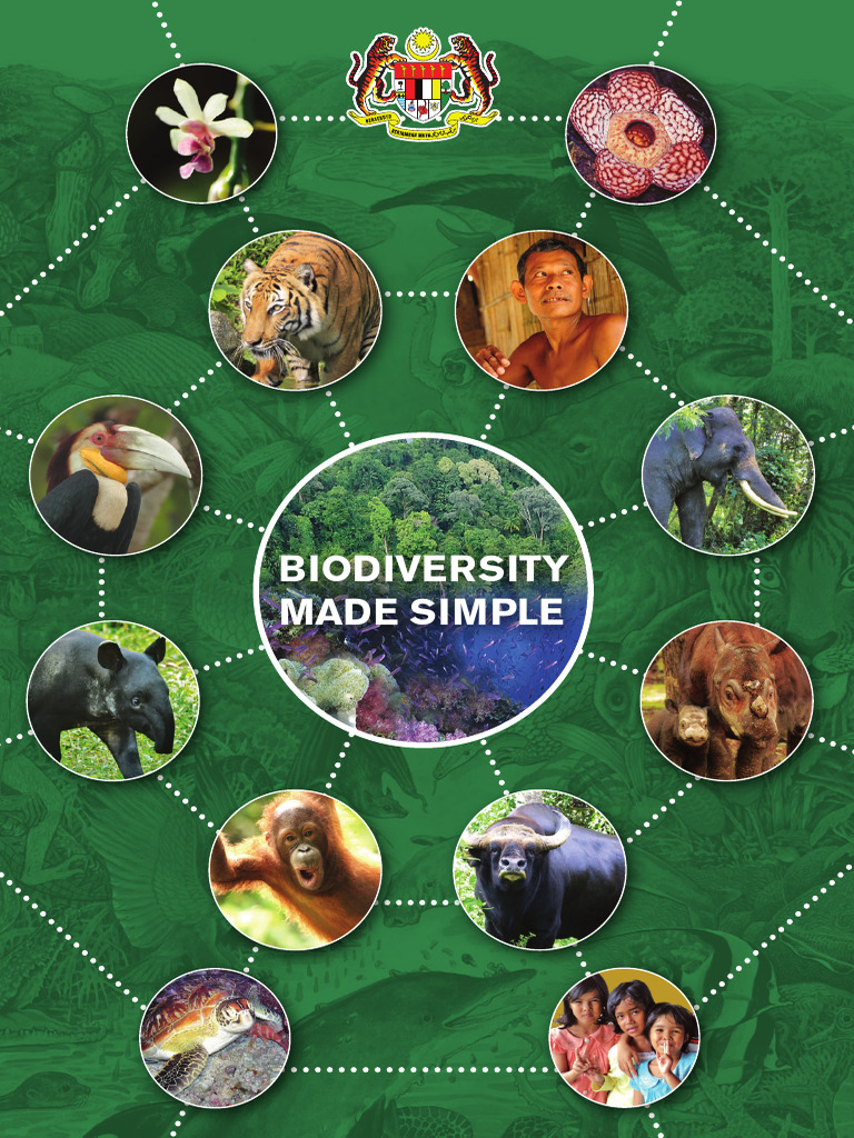 1 Biodiversity Made Simple - Handout | PDF | Biodiversity ...