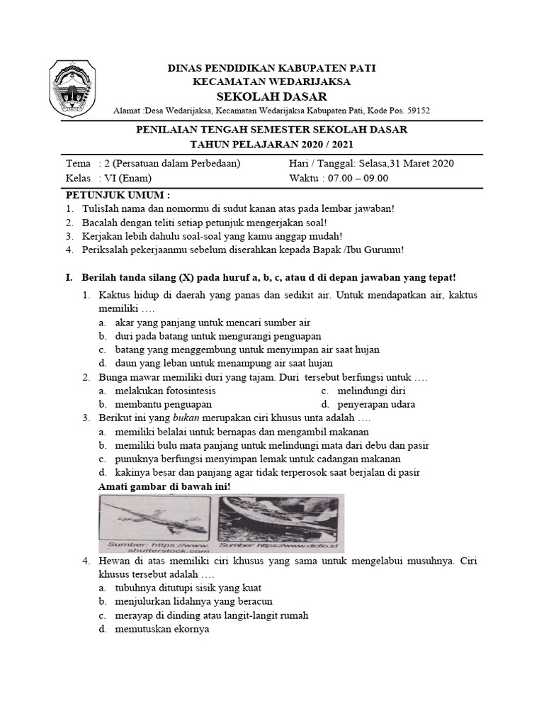 PTS TEMA 2 (IPA, IPS, SBDP) | PDF