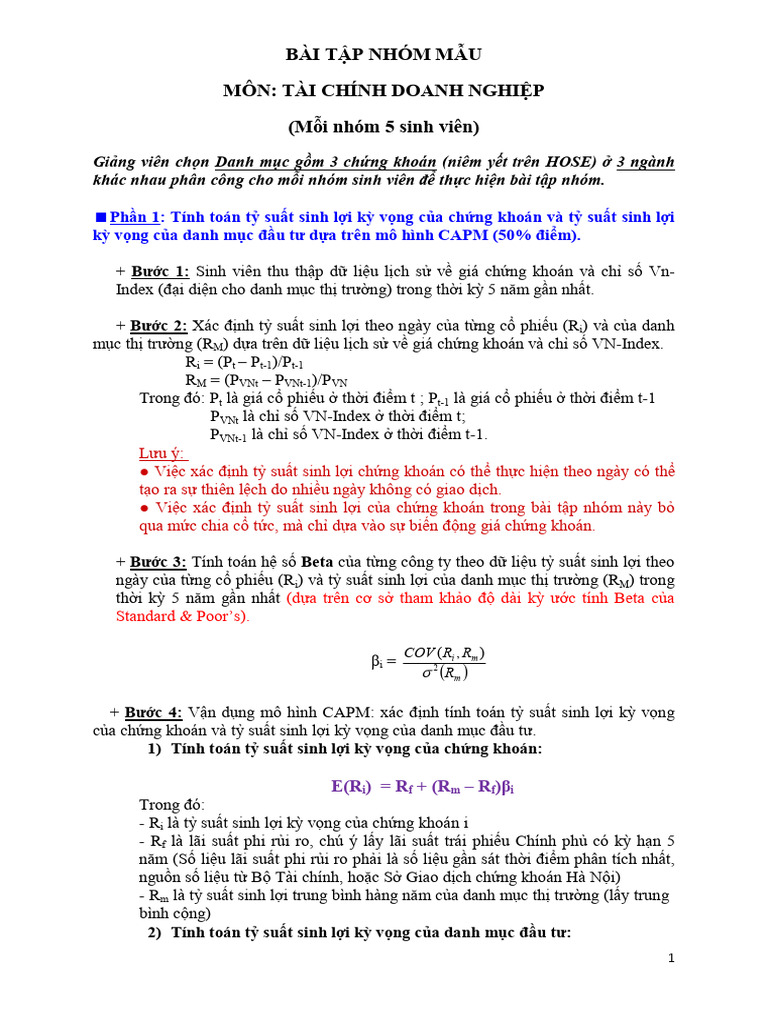 Hướng Dẫn Làm Bài Tập Nhóm (TCDN) | PDF