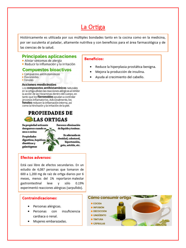 La Ortiga | PDF | Salud y bienestar