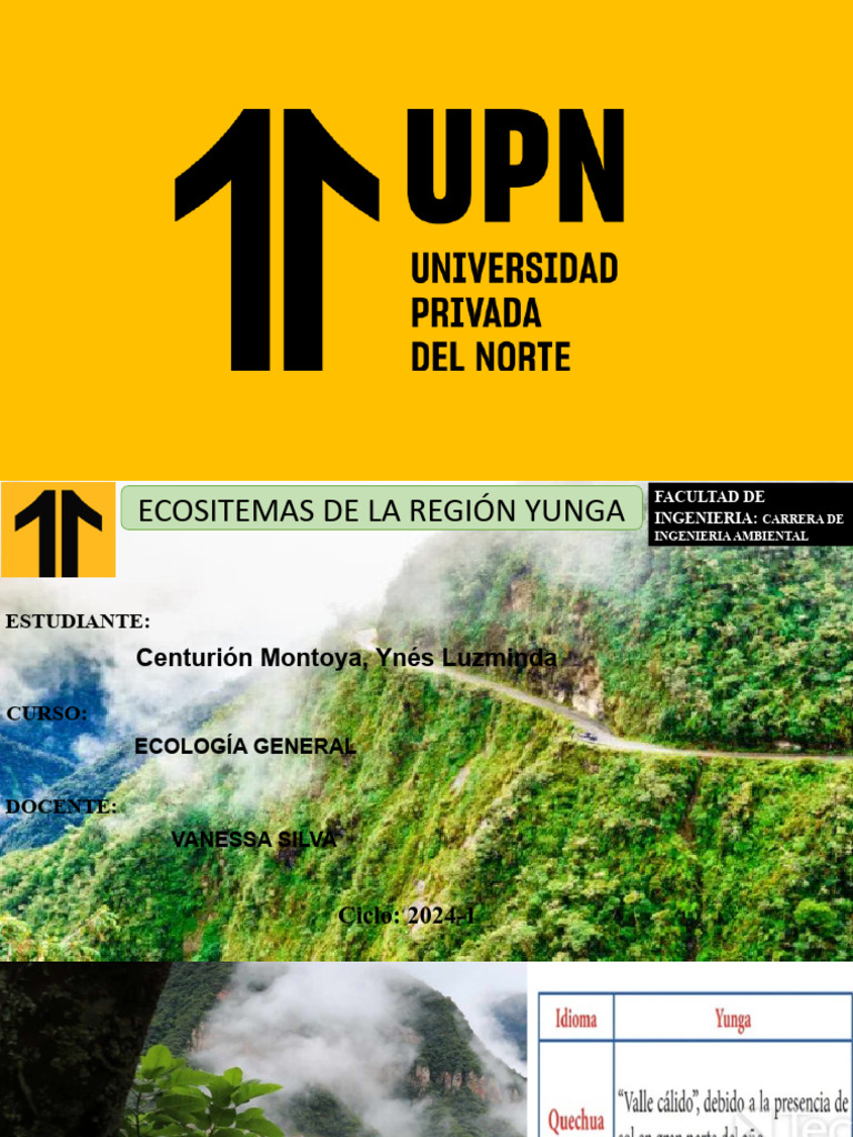 Ecosistemas y Servicios de la Yunga | PDF | Los bosques | Ciencia ...