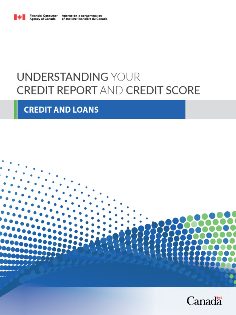 Credit Report | PDF | Credit History | Credit Card