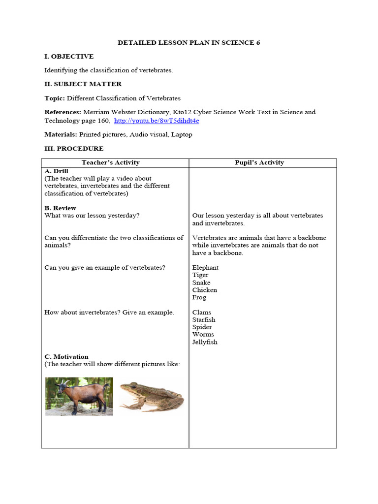 Detailed LP | PDF | Amphibian | Reptile