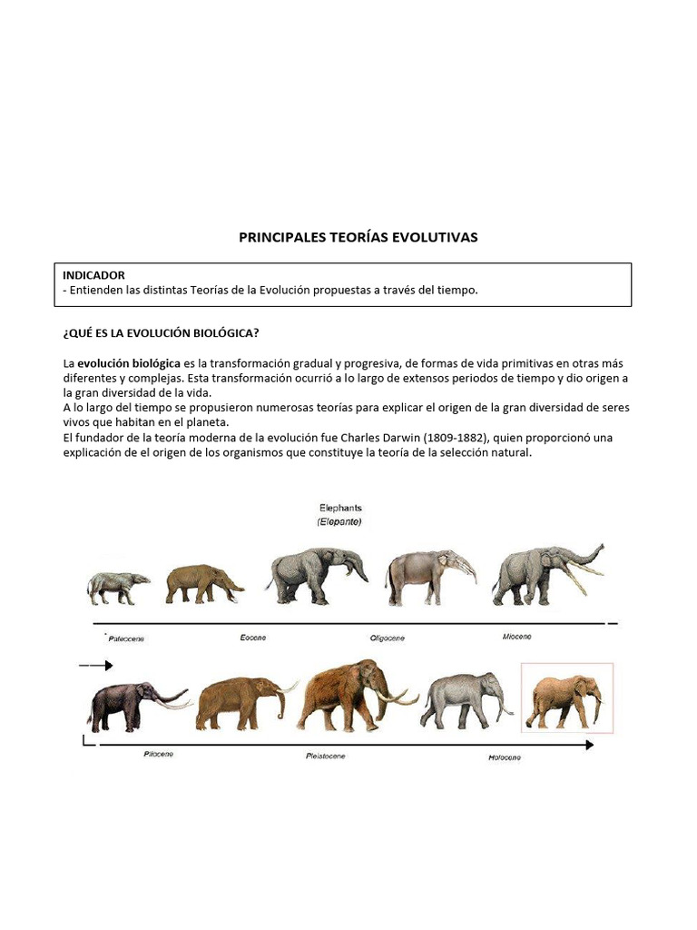 Teorias de La Evolucion | PDF | Evolución | Seleccion natural