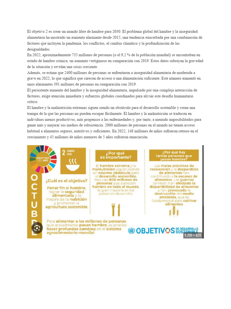 El Objetivo 2 Es Crear Un Mundo Libre De Hambre Para 2030 Descargar