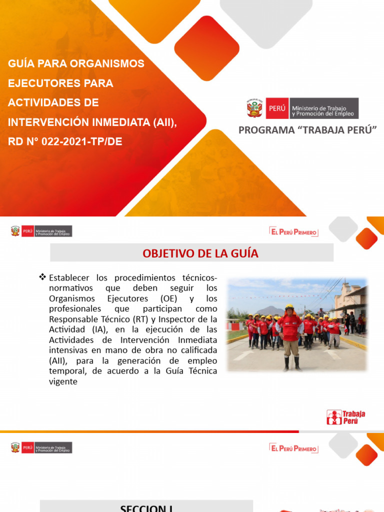 Guía AII: Procedimientos y Requisitos | PDF | Tecnología