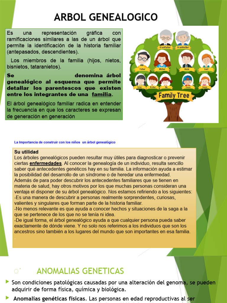 Poliplodias y Árbol Genealógico Familiar | PDF | Mutación | Cromosoma