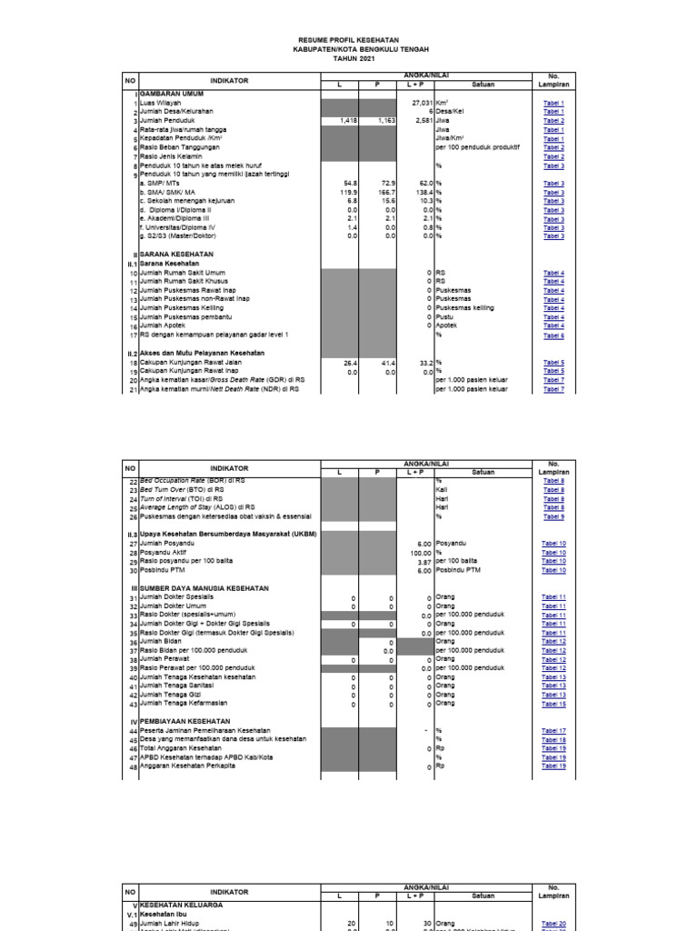 Lampiran Profil Kes 2021 | PDF
