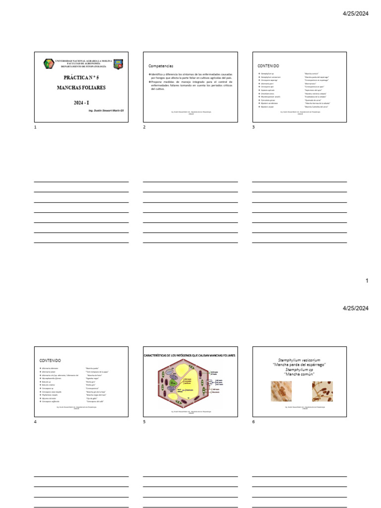 Práctica N°5 MF - Fa - DSMG - 2024 I | Descargar gratis PDF | Plantas | Agricultura