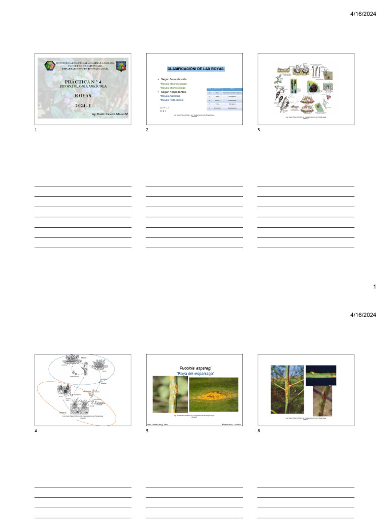 Práctica N°4 - Royas - DSMG - Fa - 2024 I | PDF | Biología | Agronomía