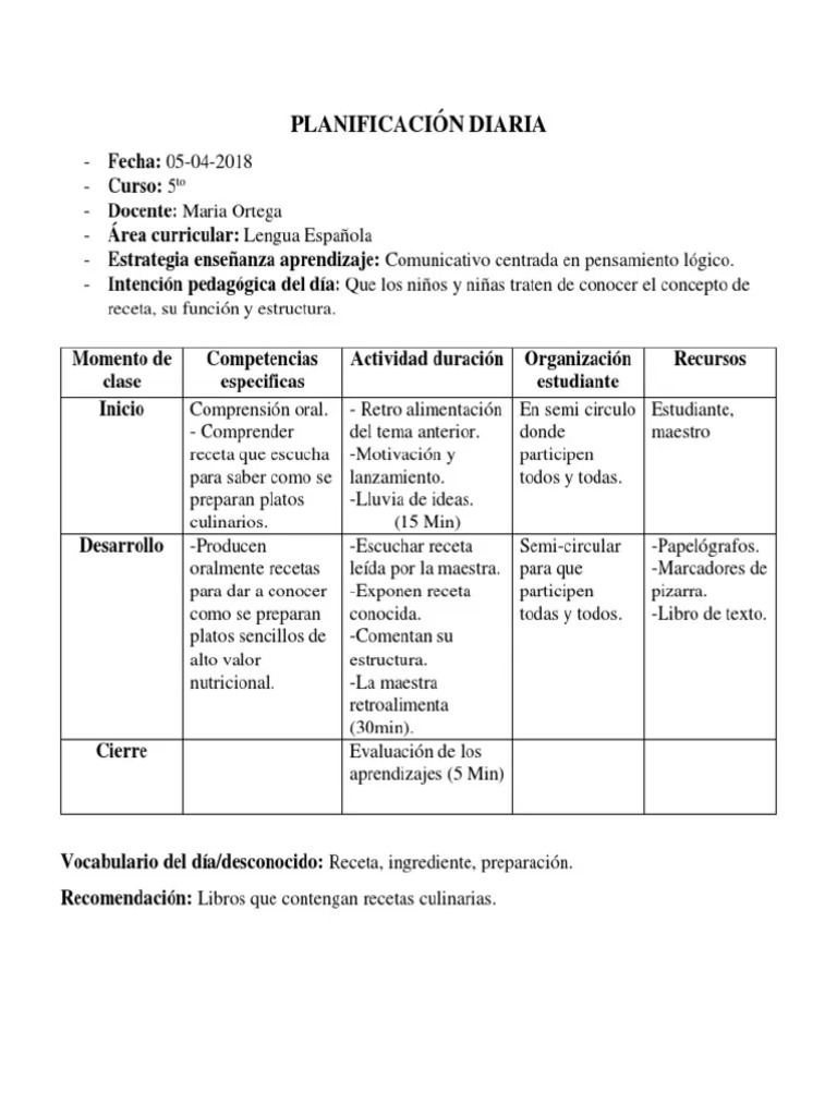 Modelo Planificacion Diaria de Clase | PDF