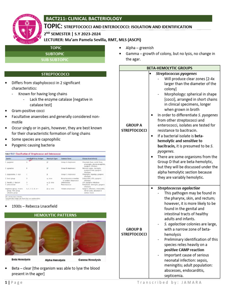 Lab 4 - The Streptococci and Enterococci - Isolation and Identification ...