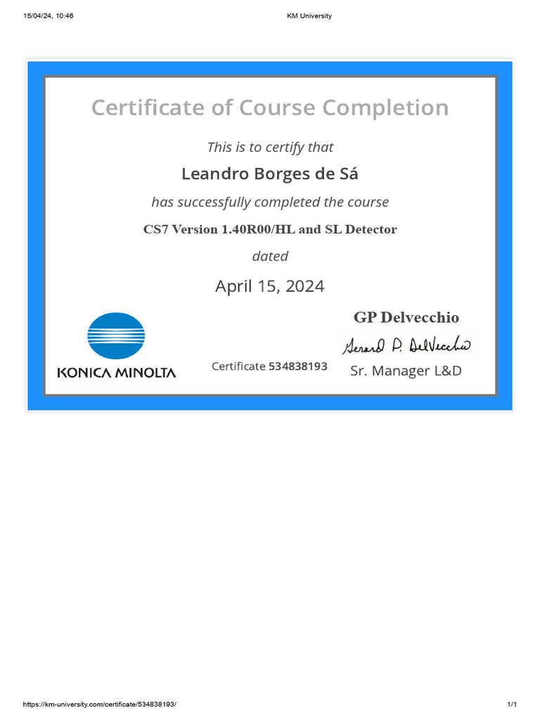 CS7 Version 1.40R00HL and SL Detector | PDF