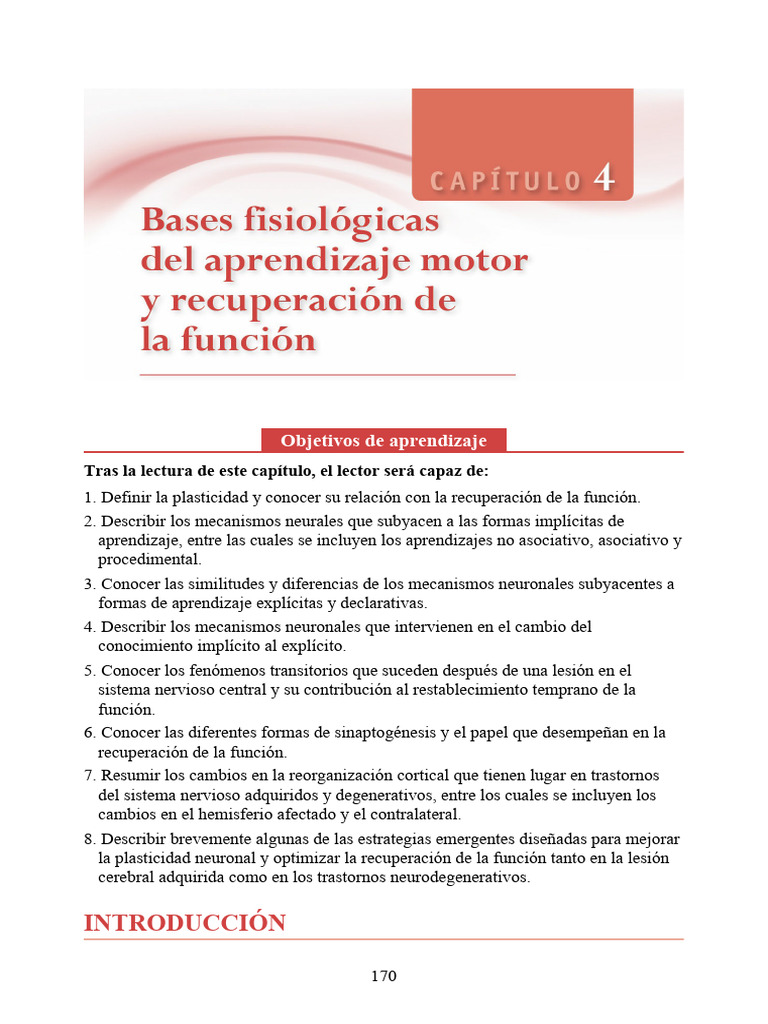 Control motor. CAP 4 | PDF | Memoria | La potenciación a largo plazo