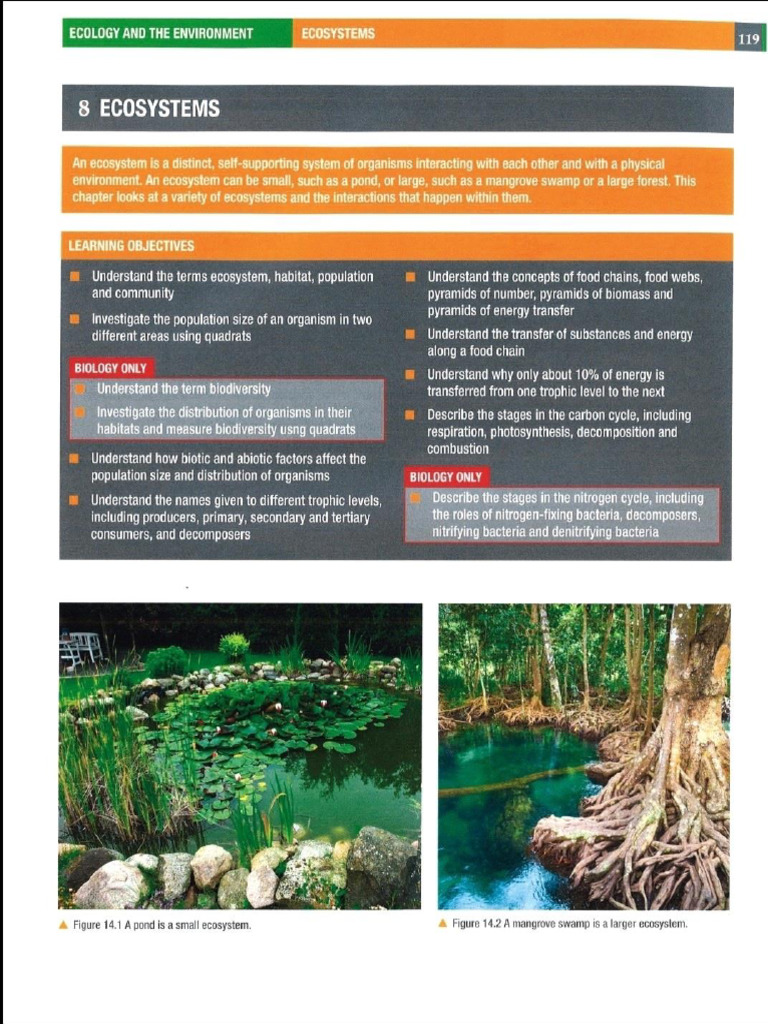 Chapter 8-Ecosystems | Download Free PDF | Ecosystem | Biodiversity