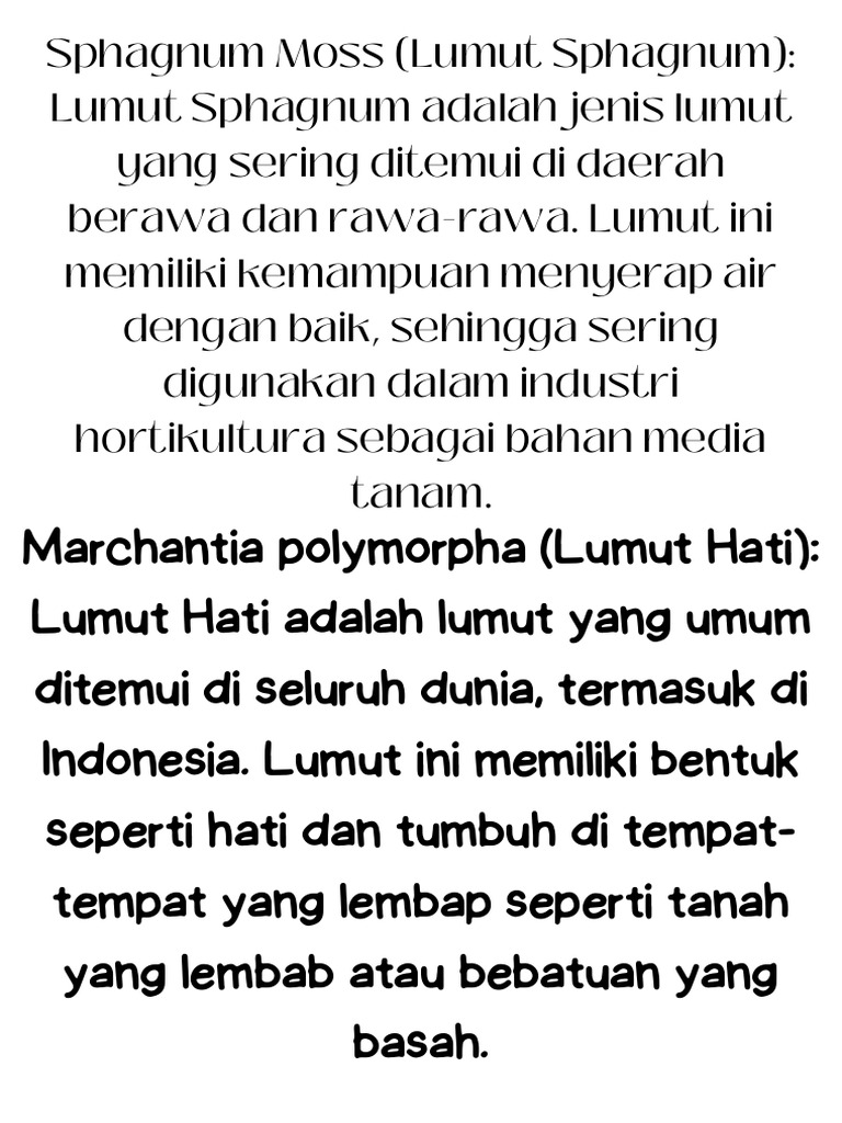 Sphagnum Moss (Lumut Sphagnum) Lumut Sphagnum Adalah Jenis Lumut Yang ...