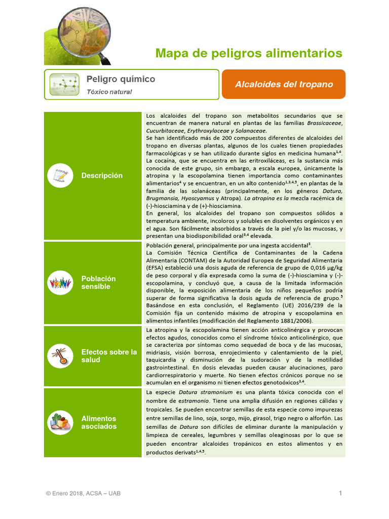 Alcaloides Del Tropano MP | PDF | Ciencia y matemáticas