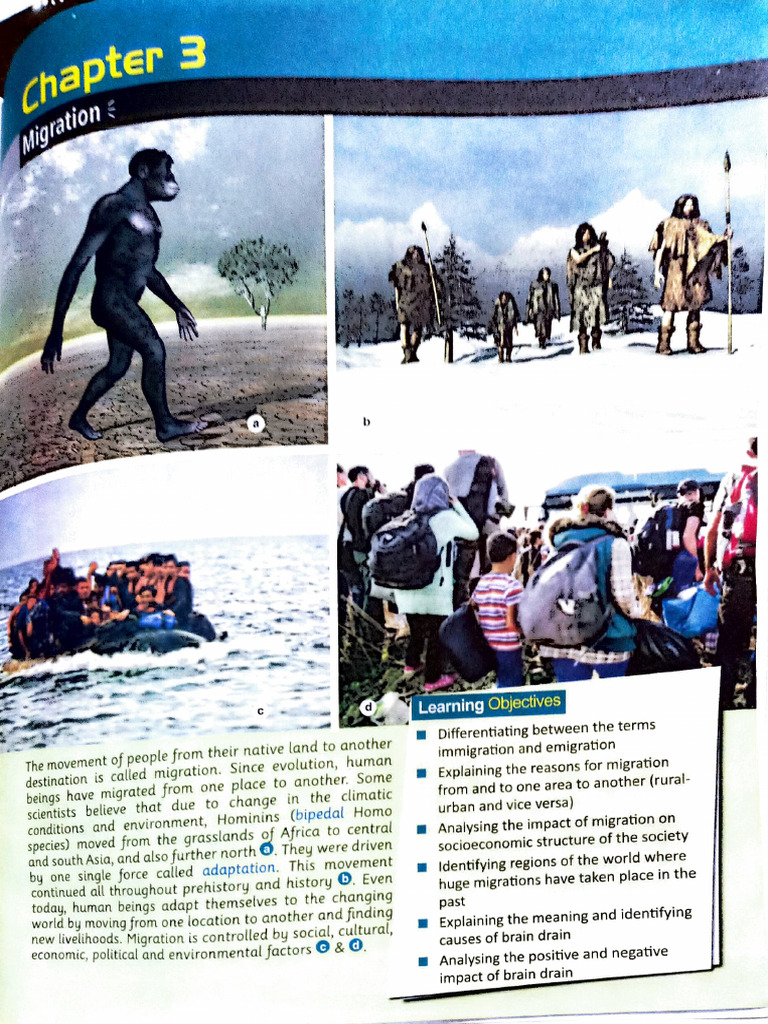 Migration | Download Free PDF | Human Capital Flight | Human Migration