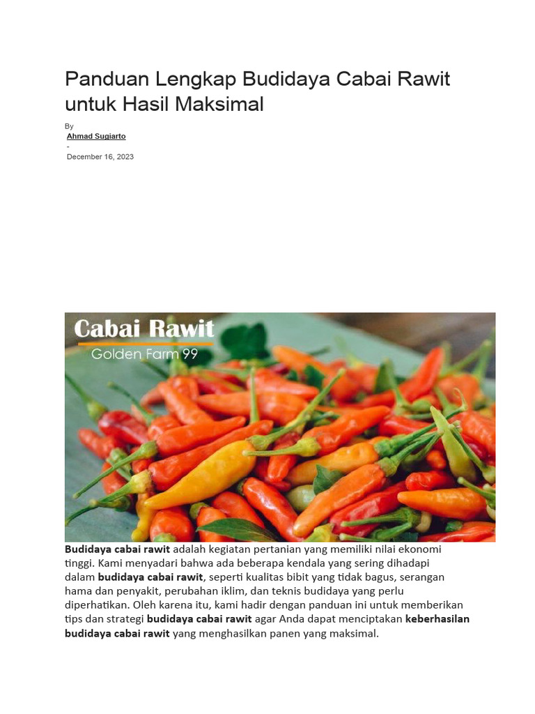 Panduan Lengkap Budidaya Cabai Rawit Untuk Hasil Maksimal | PDF