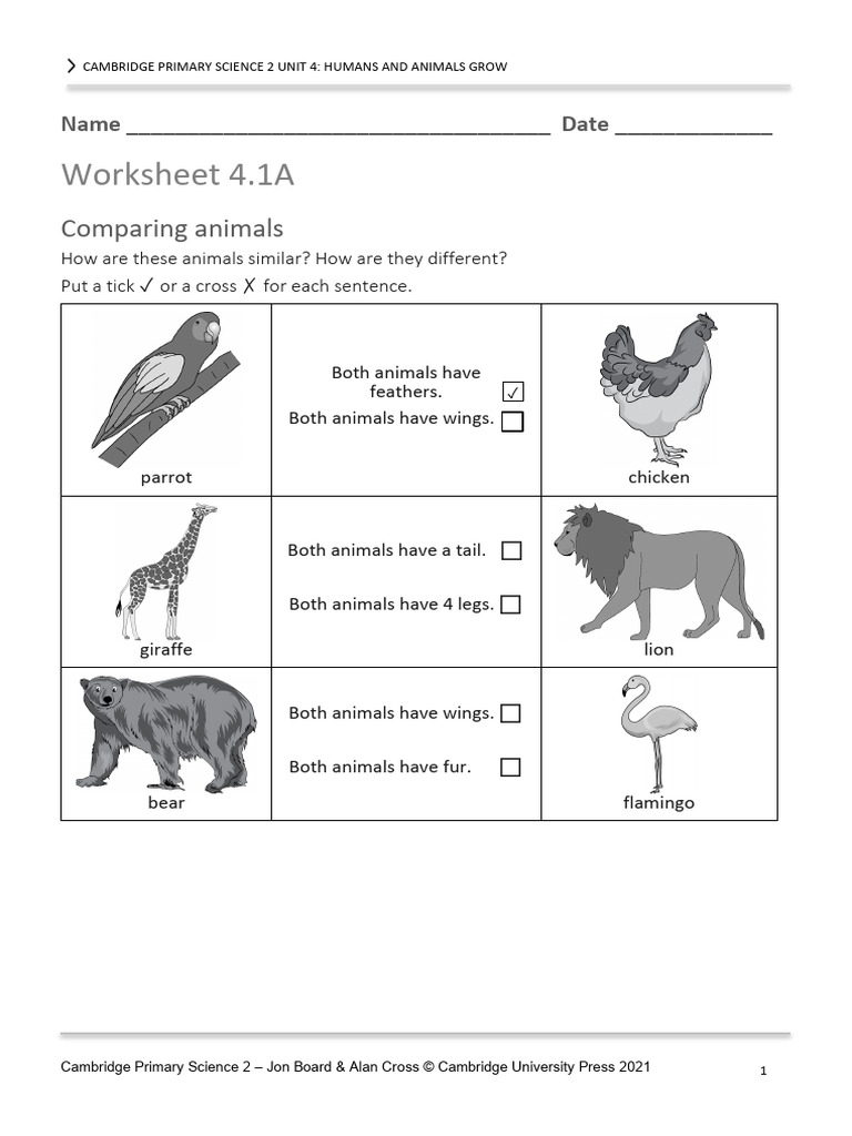 Unit 4 Revision Worksheet | PDF | Zoology