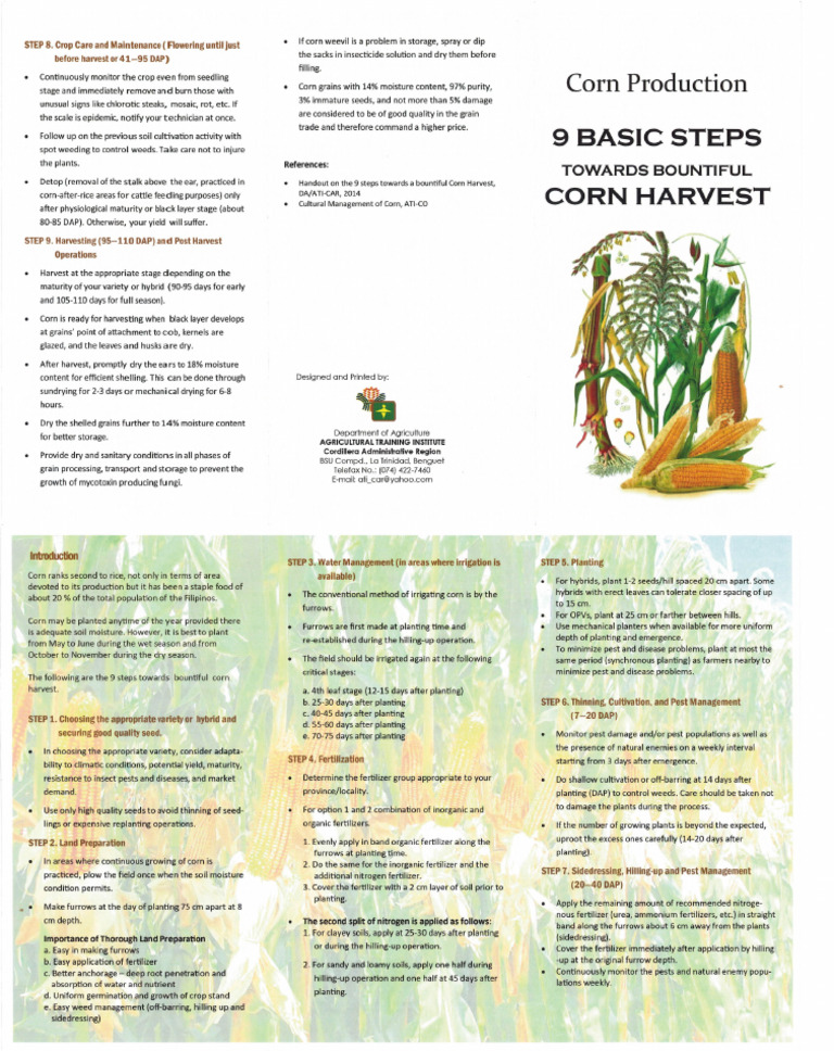 Corn Production 9 Basic Steps Towards Bountiful Corn Harvest | PDF