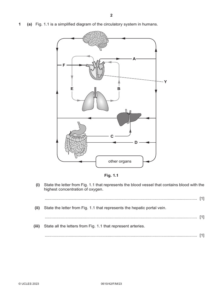 2 1 (A) Fig. 1.1 Is A Simplified Diagram of The Circulatory System in ...