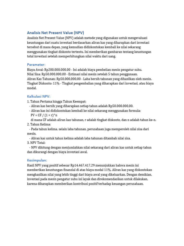 Analisis NPV Rania Nusa Raya Holding | PDF