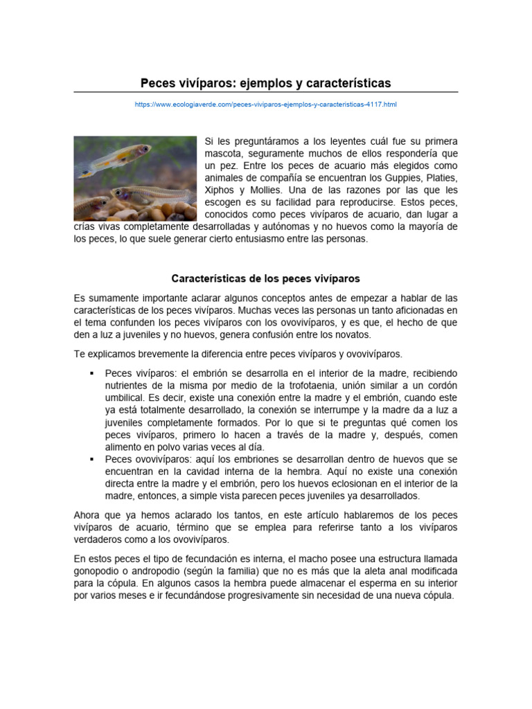 Características y ejemplos de peces vivíparos | PDF | Zoología