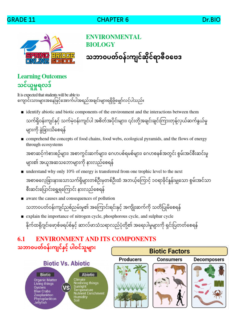 G11 Bio Chp 6 Translation Pdf