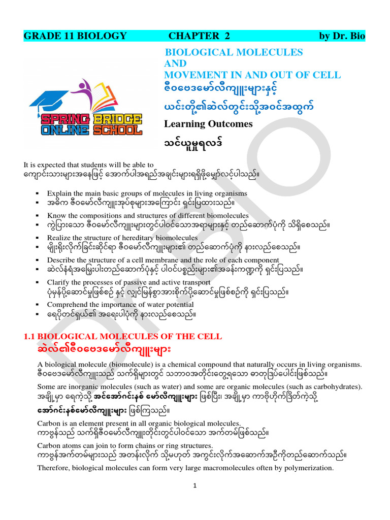 G11 Bio CHP 2 Translation | PDF