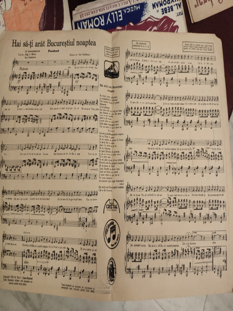 Hai Sa-Ti Arat Bucurestiul Noaptea | PDF