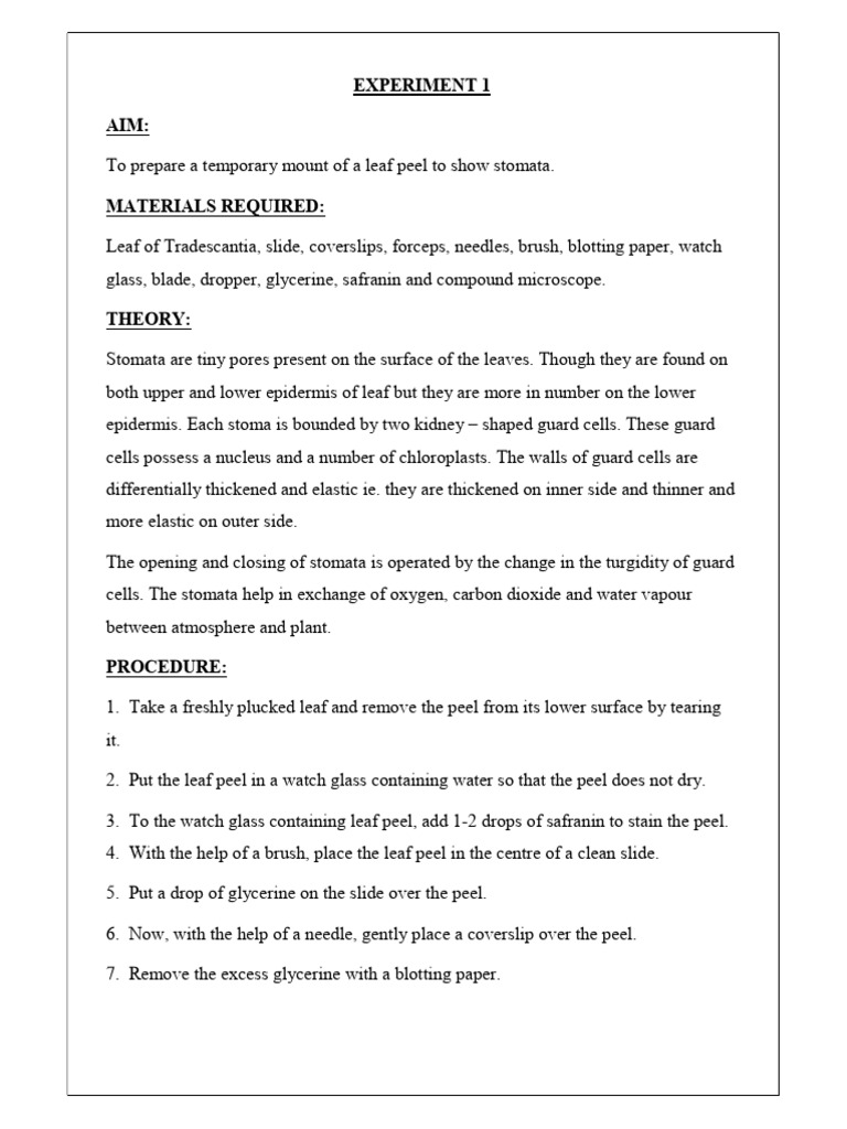 CLASS 10 BIOLOGY RECORD | PDF | Stoma | Leaf
