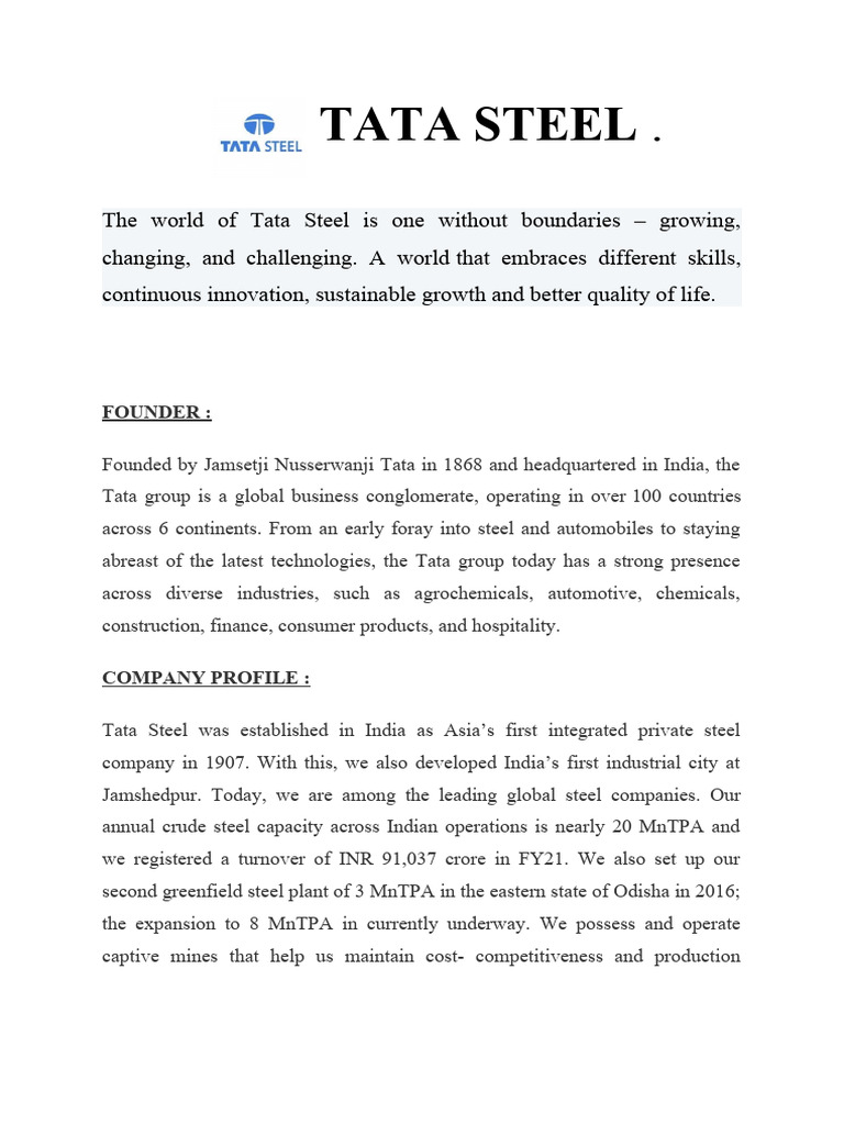tata steel | PDF | Steelmaking | Risk