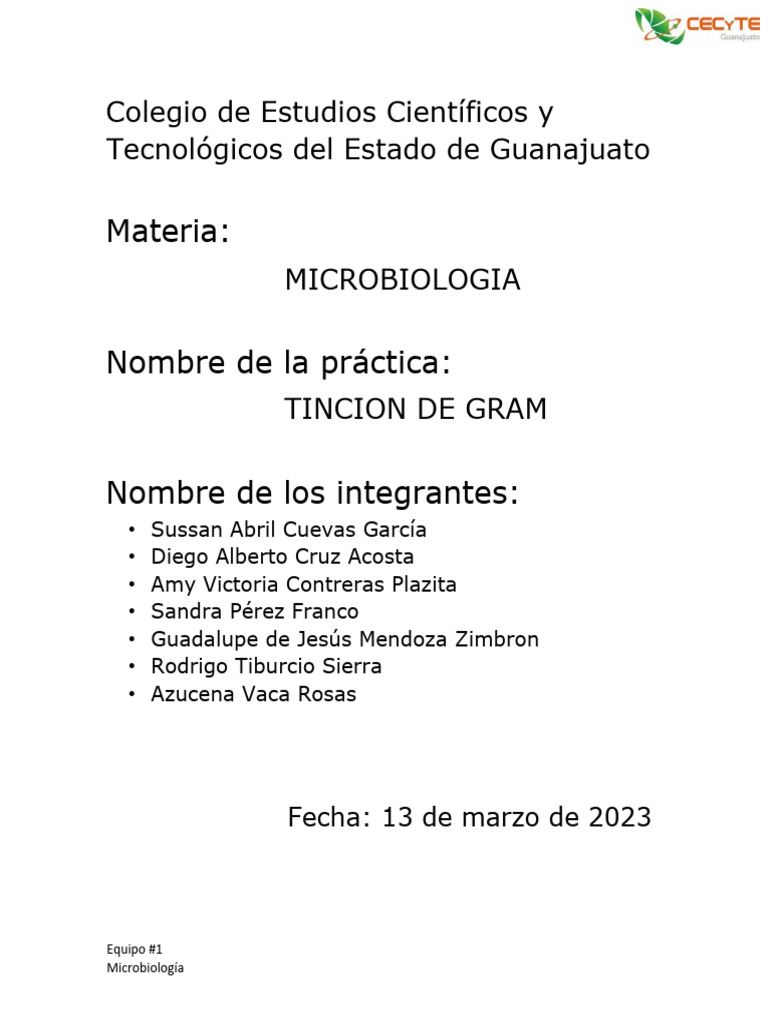 Tinción de Gram en Muestras Biológicas | PDF | Bacterias Gram-negativo ...