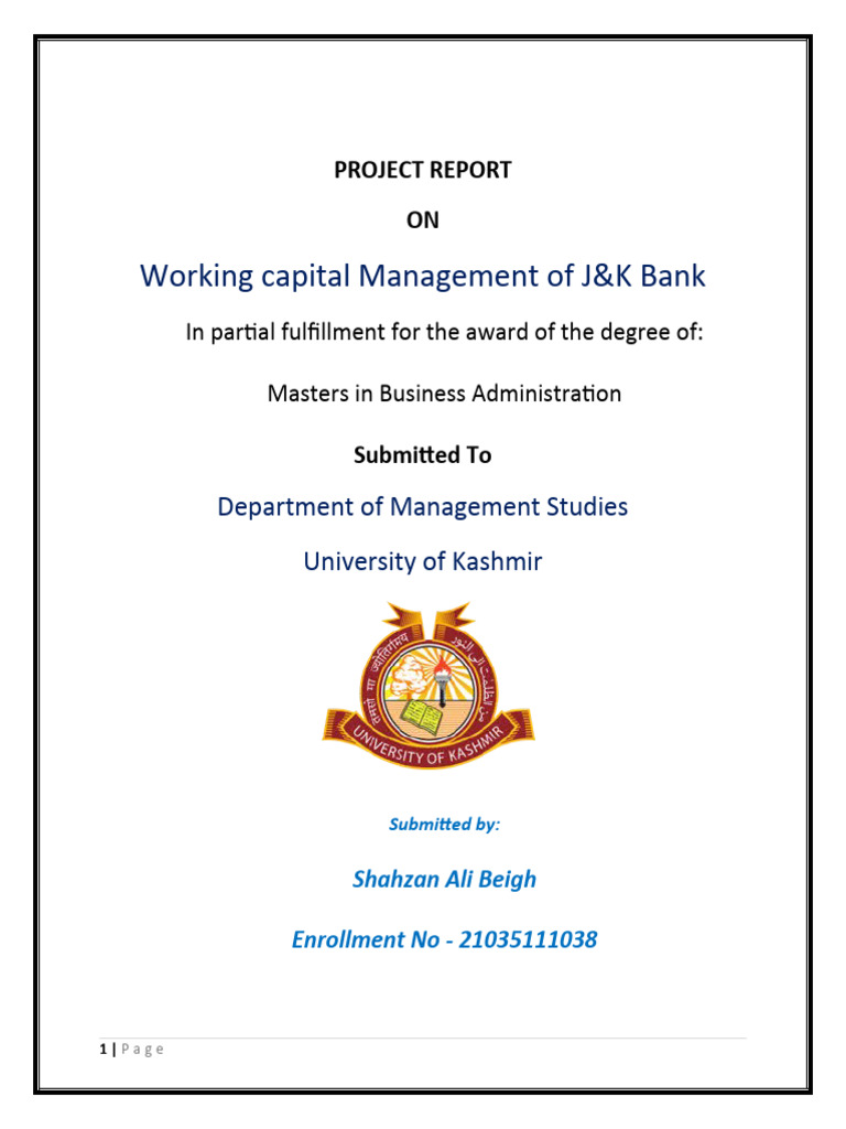 Project Report | PDF | Working Capital | Debt