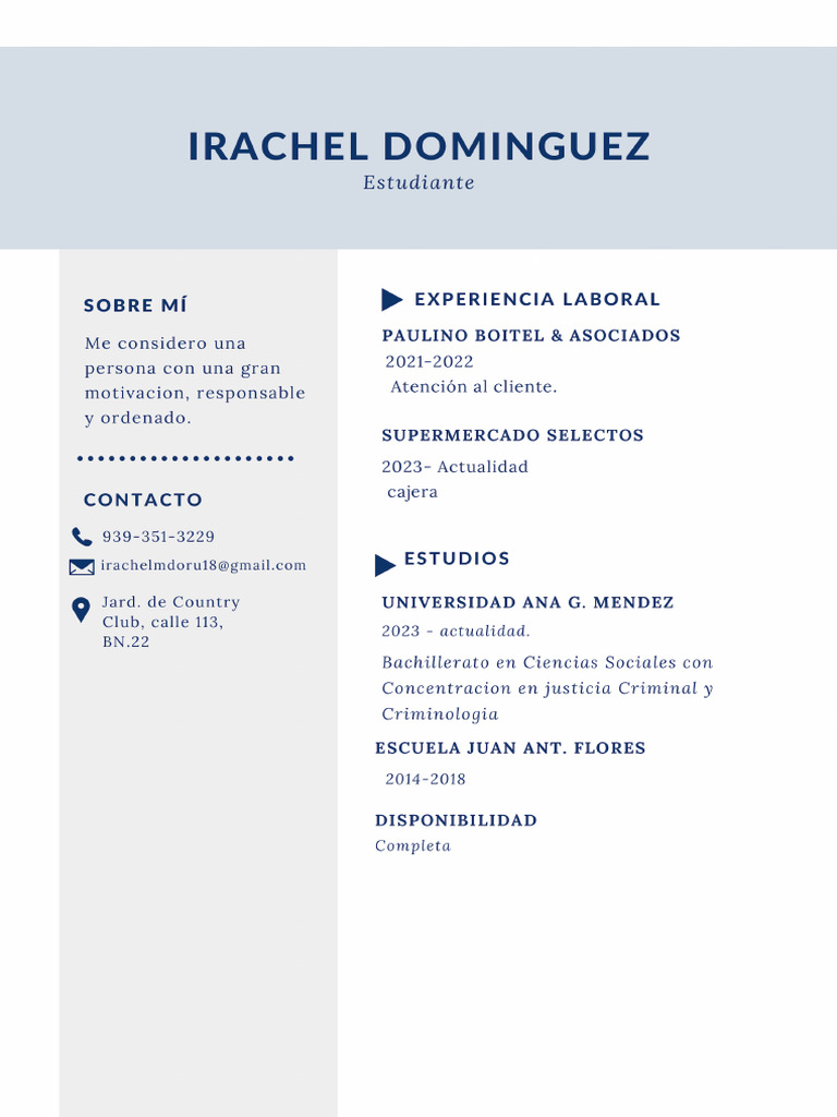 CV Sin Foto Trabajo Formal Joven Blanco Azul | PDF